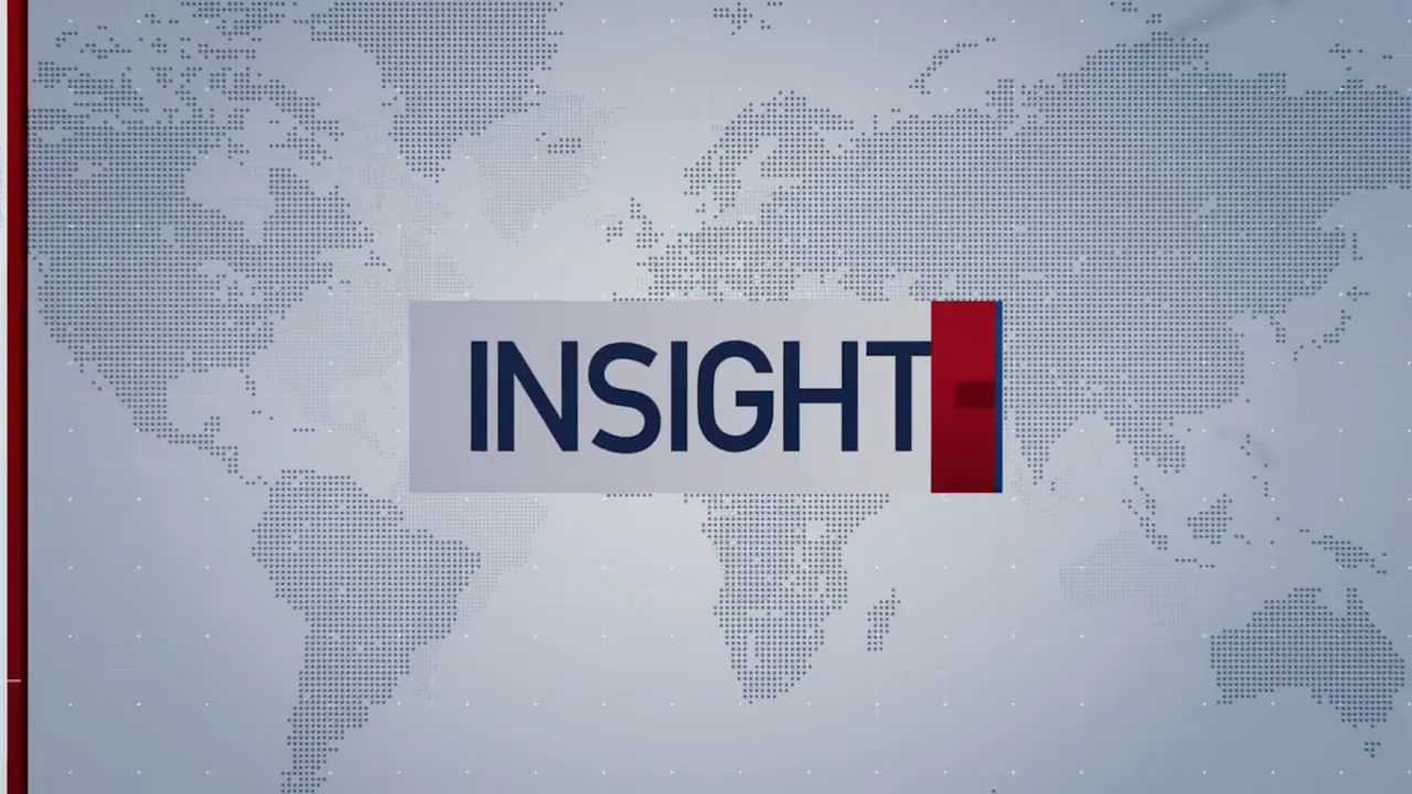 Insight - Jan. 31st, 2024 - 2024 - SBN