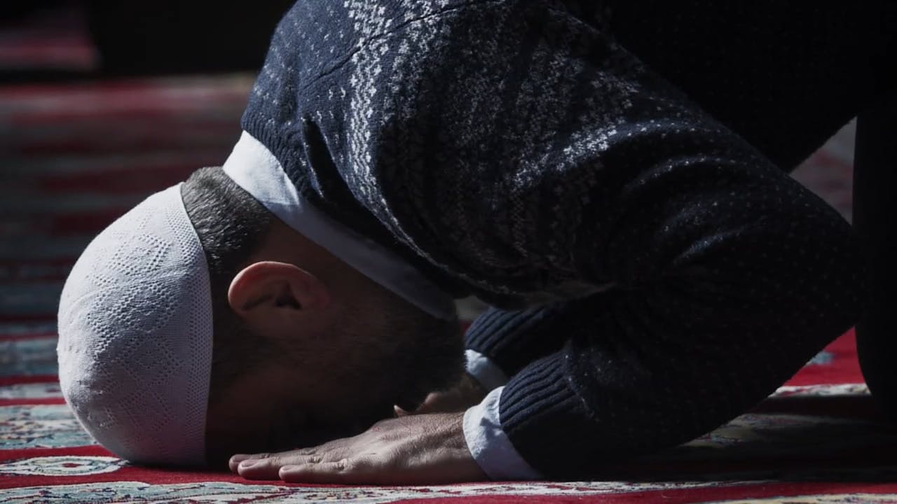 Insight - Nov. 8th, 2022 - 2022 - SBN