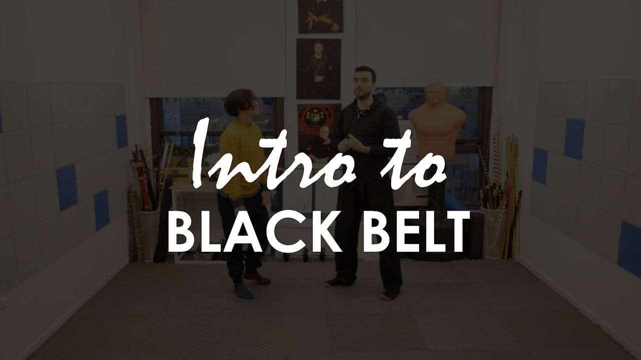 INTRO TO BLACK BELT - BLACK BELT REQUIREMENTS - KAJUKENBO ONLINE TRAINING
