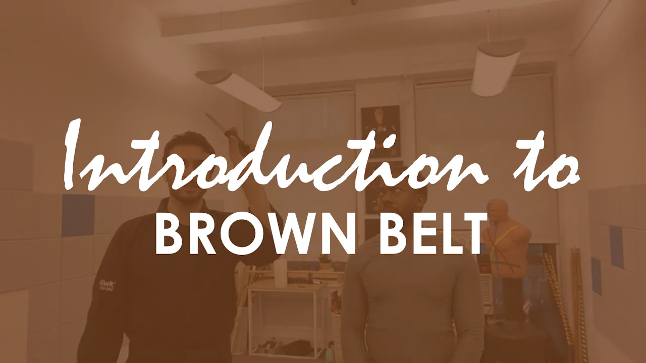 INTRODUCTION TO BROWN BELT - BROWN BELT REQUIREMENTS - KAJUKENBO ONLINE ...