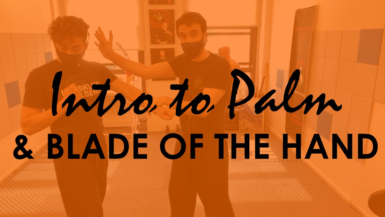 INTRO TO PALM STRIKES AND THE USE OF THE BLADE OF THE HAND - ORANGE ...