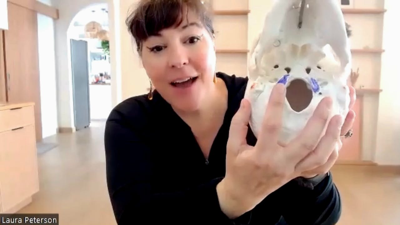 Postural Patterns, Atlas and Axis in Sitting Class - 30 Minute Weekly ...