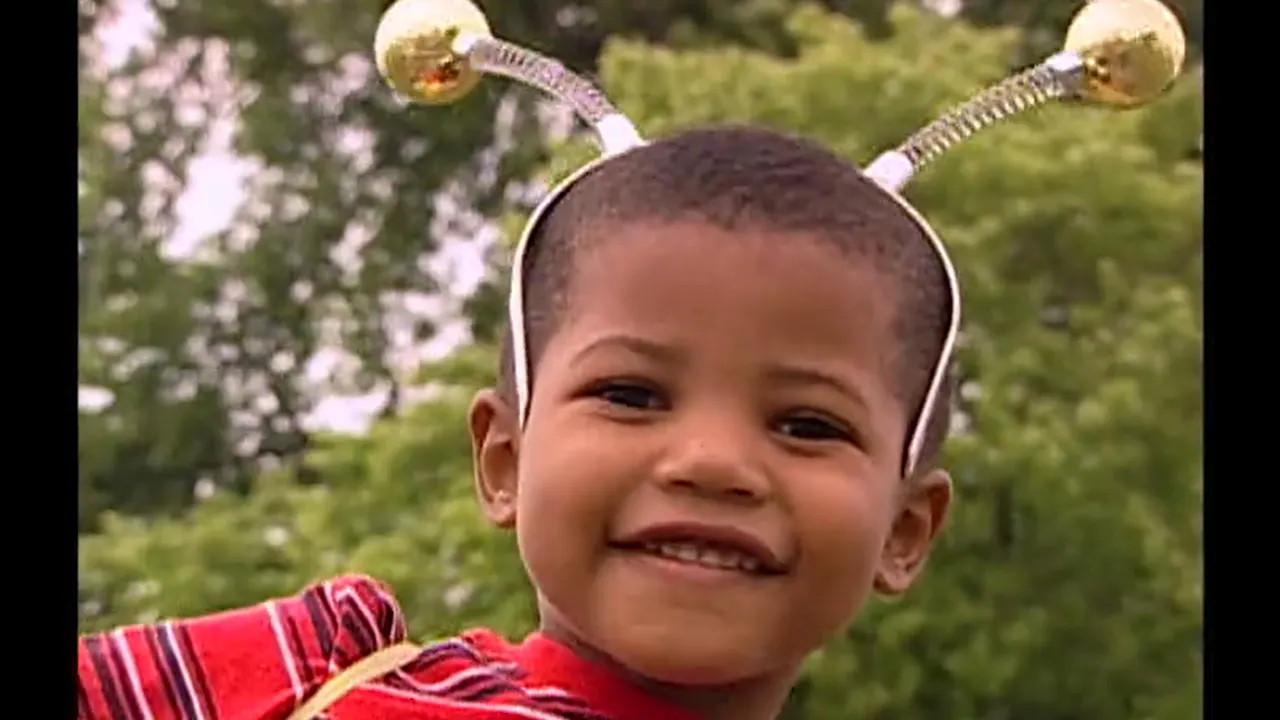 Butterflies | Bugs - Barney & Friends 10 - Kidstream