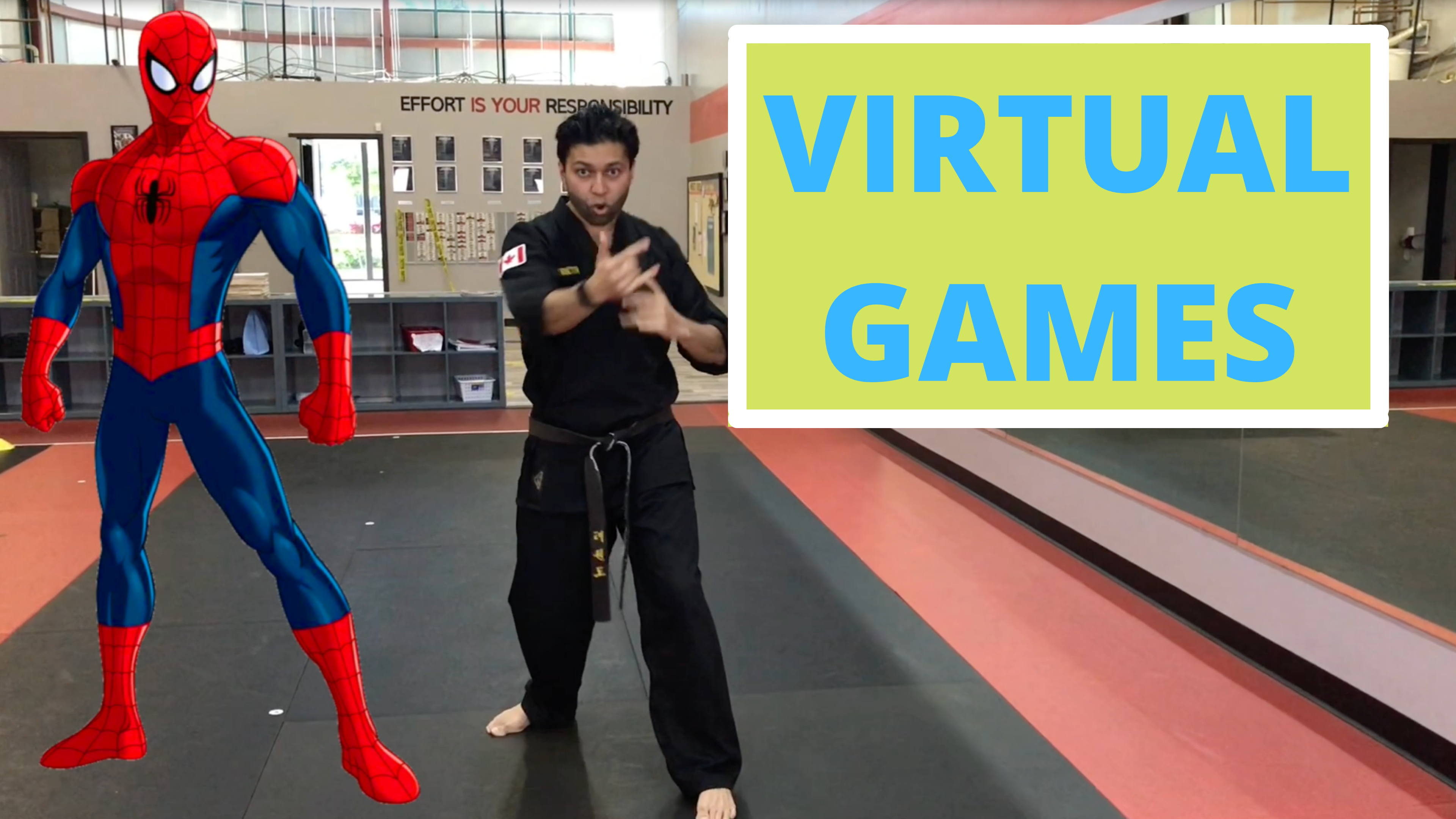 Virtual Games - Kids Virtual Martial Arts