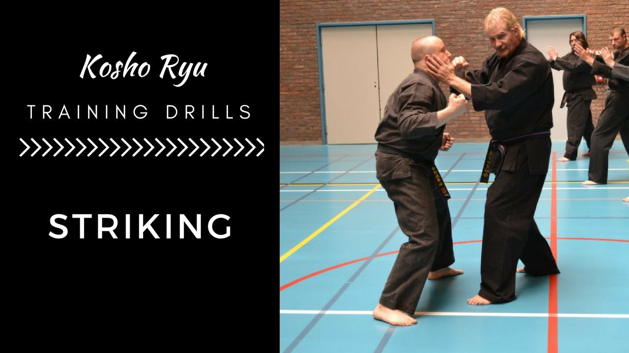 Training Drills for Striking - Kosho Ryu Distance Learning