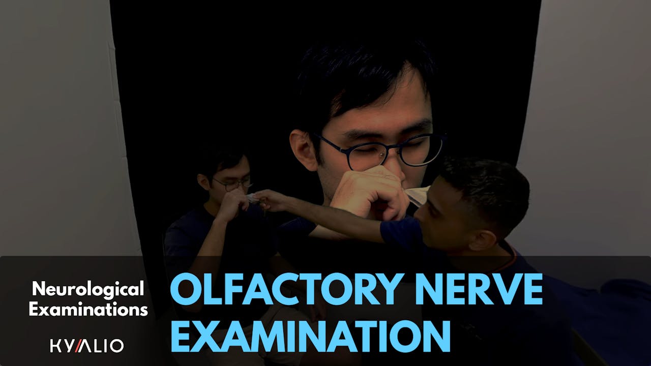 Olfactory Nerve Examination - Kyalio Day-to-Day Surgery