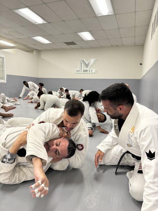 Instructors Series - Level Up University Online