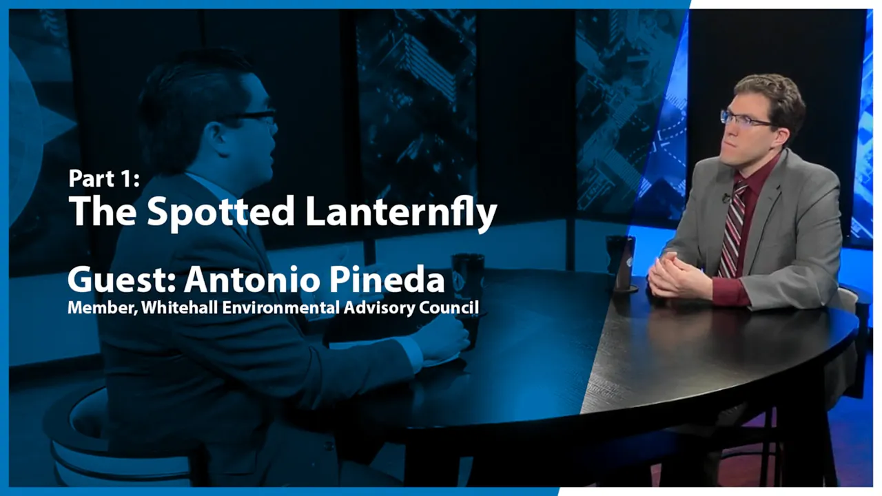 Face the Issues: The Spotted Lanternfly - Part 1 (Antonio Pineda ...