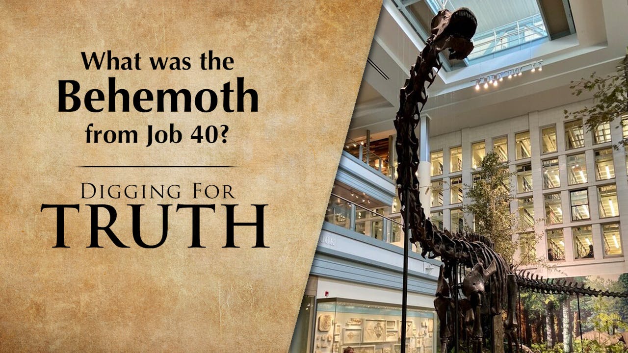 What Was the Behemoth from Job 40? - Season 7 (2024) - Lighthouse TV