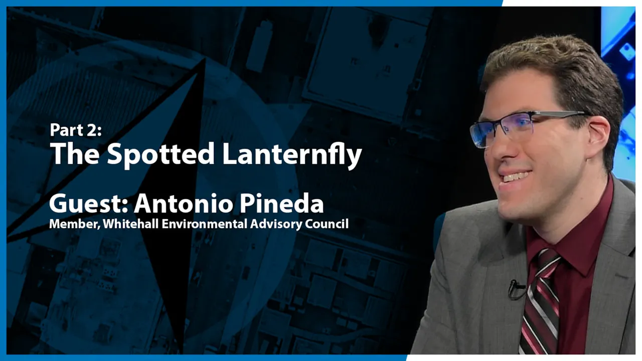 Face the Issues: The Spotted Lanternfly - Part 2 (Antonio Pineda ...