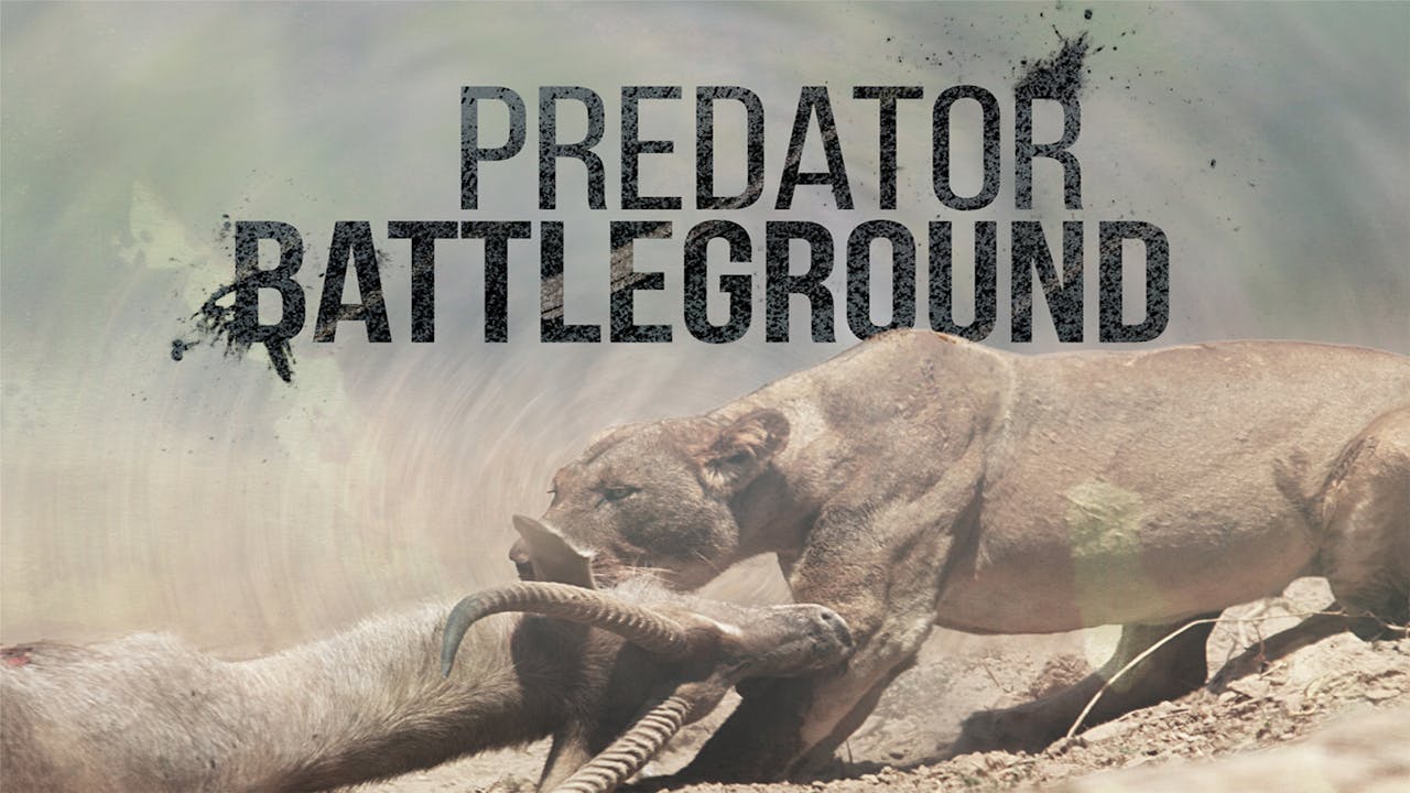 Predator Battleground Trailer - Lion Mountain TV