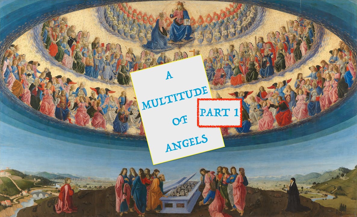 A MULTITUDE OF ANGELS - PART 1 - MAGIC ON THE GO