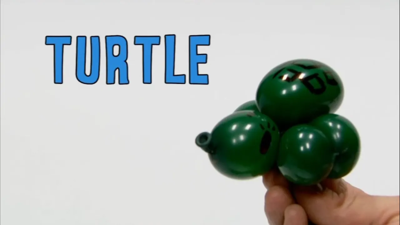 Turtle - Master Magic Tricks