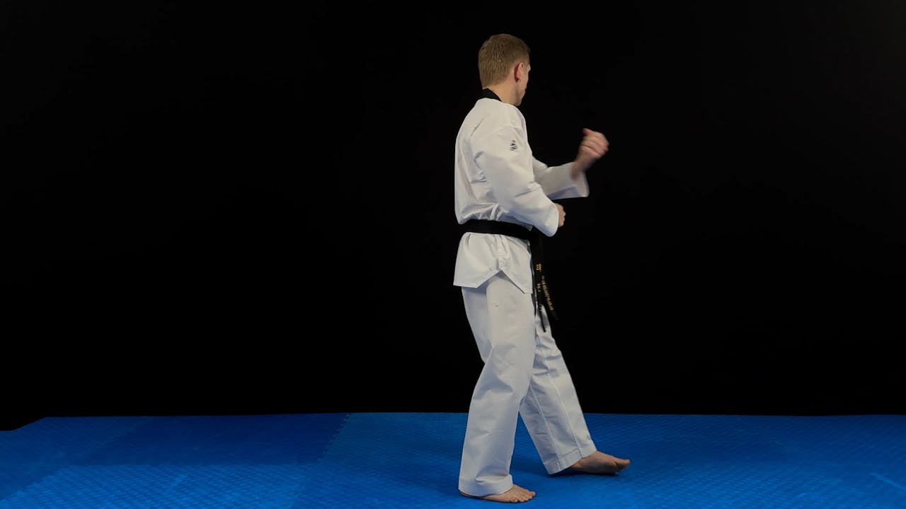 NIVEAU 3 T1J - TKD MAX by Alexis MEHRMANN