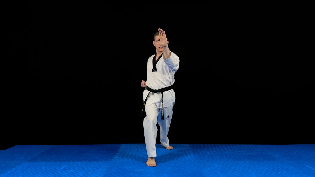 061 HAN SONAL OLGUL BITURO MAKI - TKD MAX by Alexis MEHRMANN