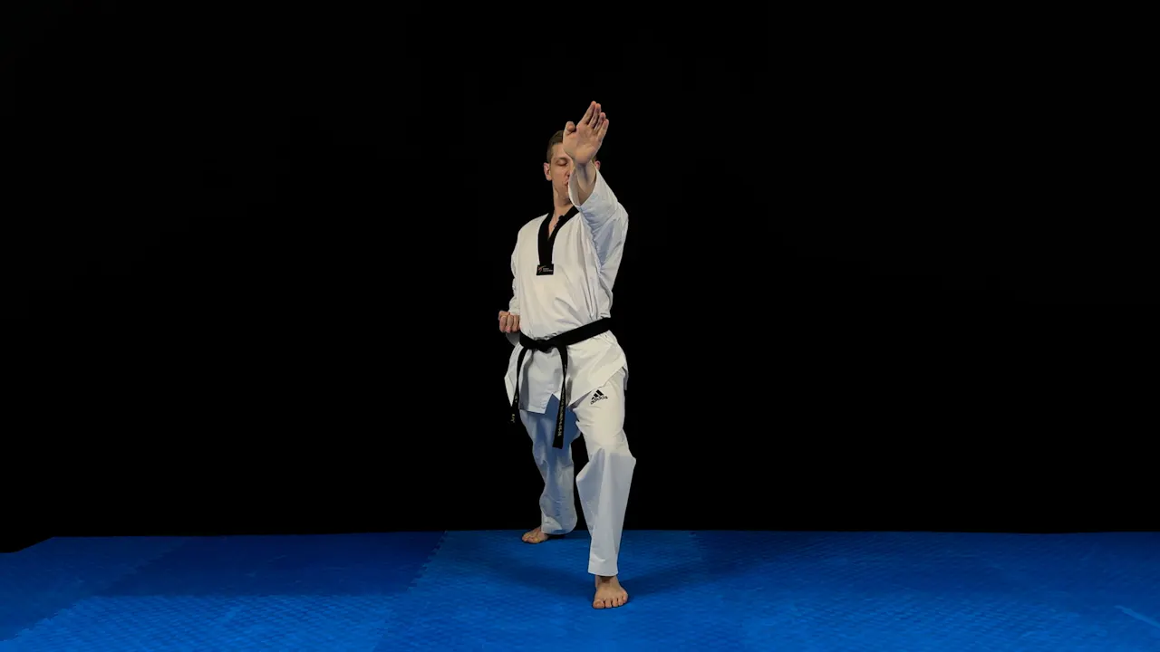 1001 BATANGSON TOK TCHIGI - TKD MAX by Alexis MEHRMANN