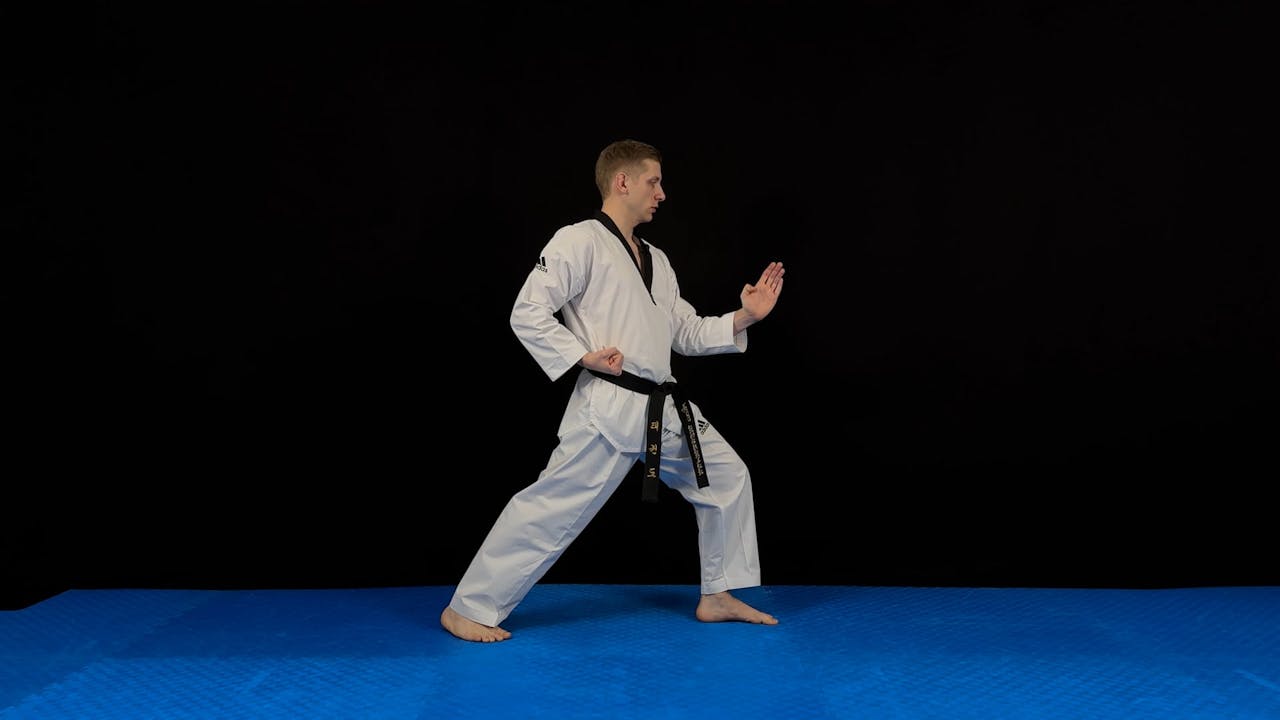 064 BATANGSON MONTONG MAKI - TKD MAX by Alexis MEHRMANN