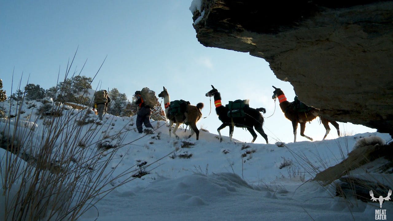 S1-E07: Brotherhood, Badlands and Pack Llamas: Montana Mule Deer ...