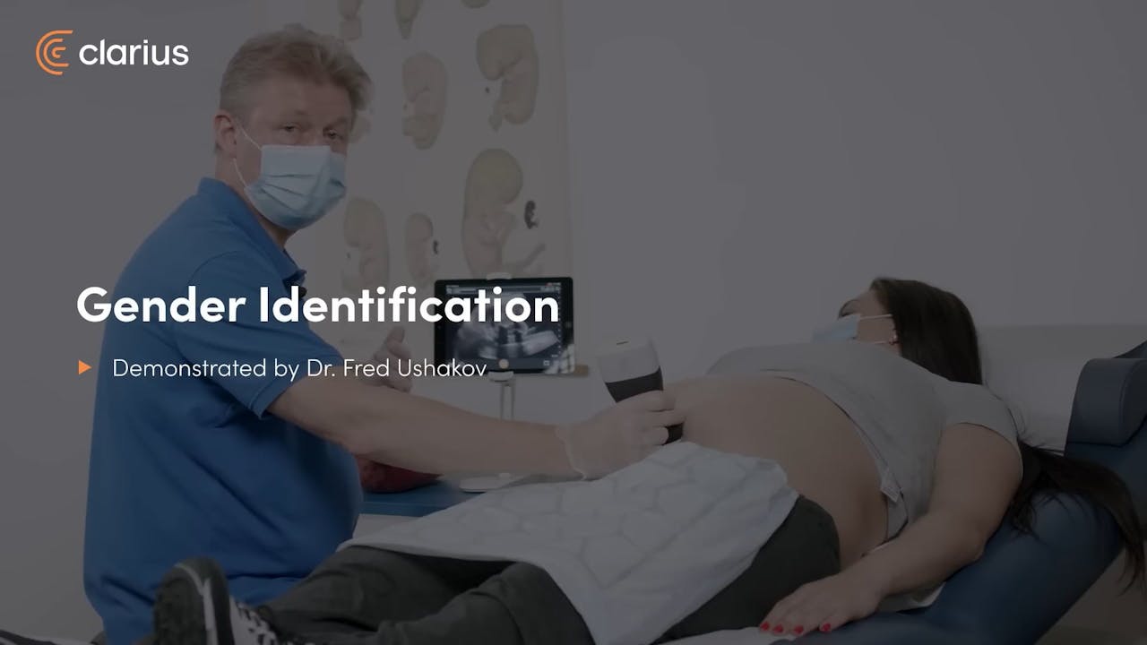 Gender Identification - Ultrasound Scanning Technique - armchairmedical.tv