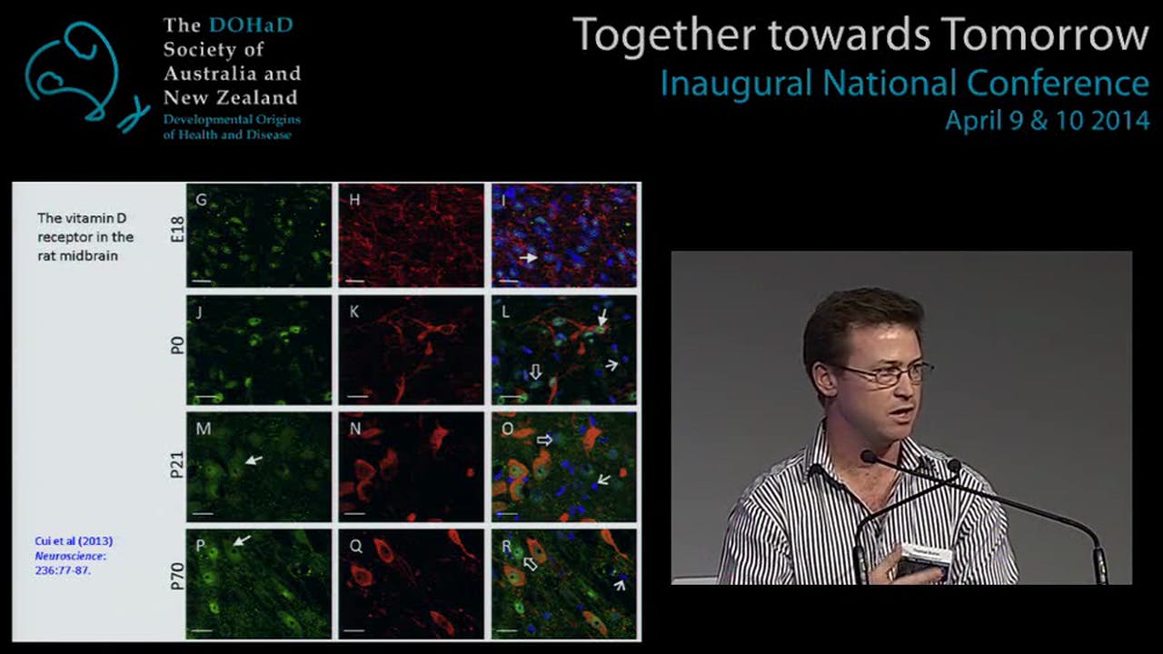 Potential mechanisms of early life origins of mental ill health Tom ...