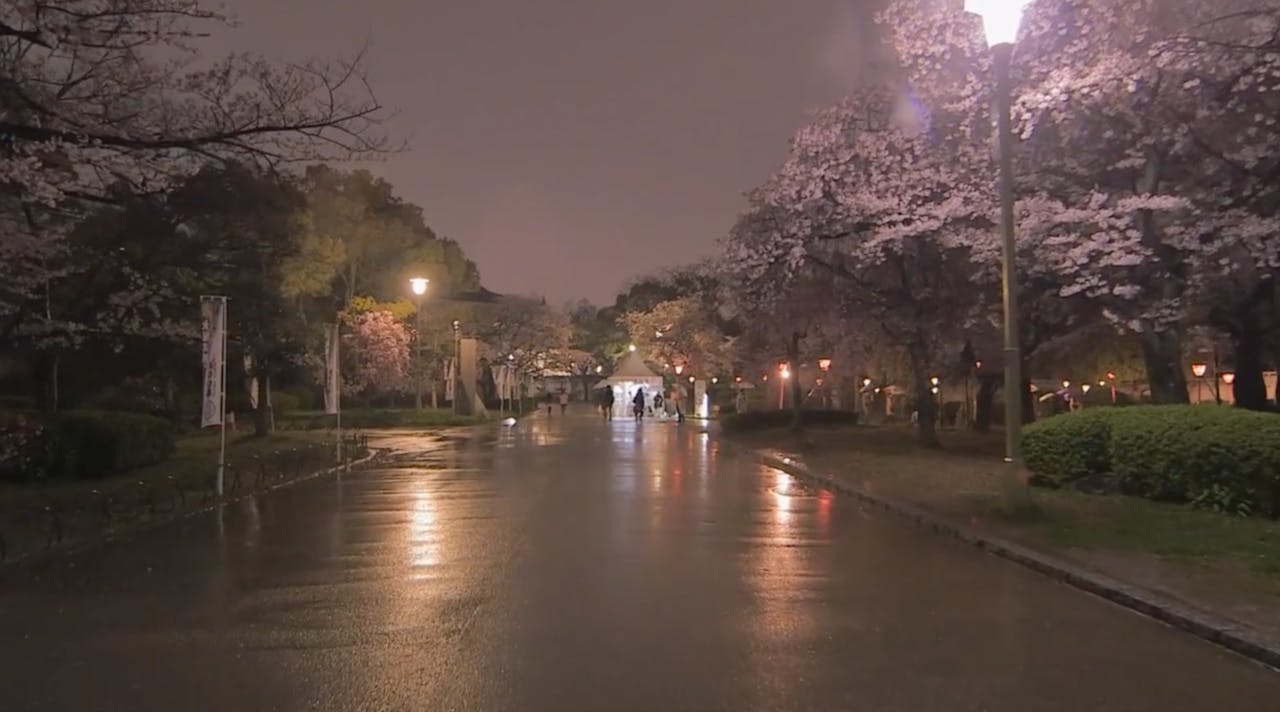 7:30pm-9pm - Night Time "Twilight Walk" Chill & Mellow Out! - Evening ...