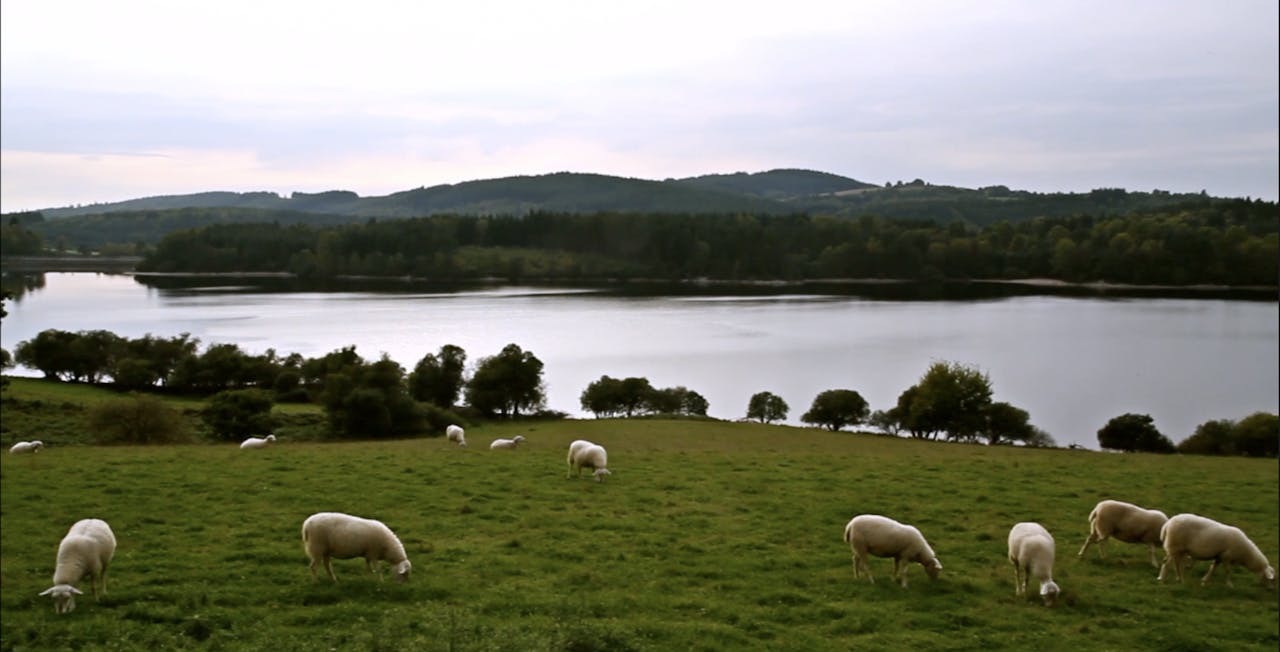 "Relaxing Medley - Ocean, Trapeze, London, Waterfall" - S103 - Medley ...