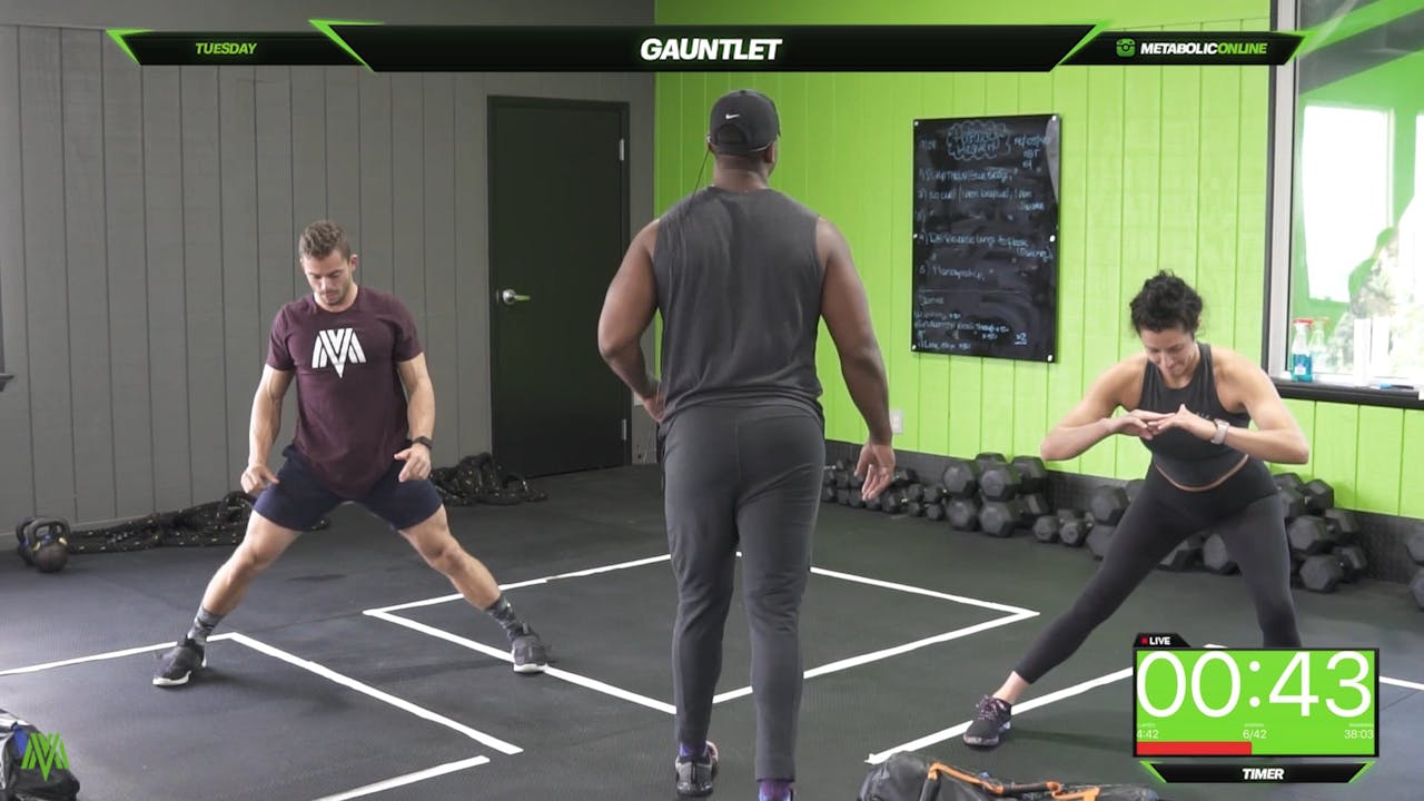 GAUNLET - Metabolic Online