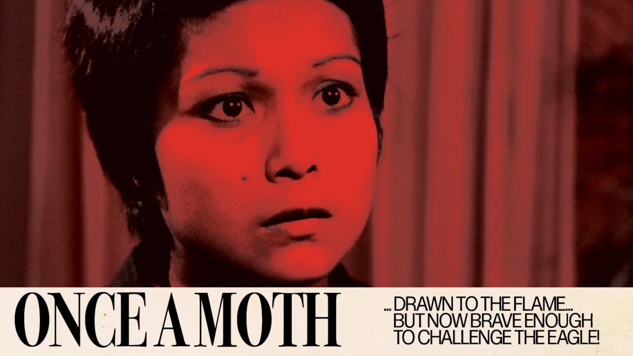 Once a Moth | Trailer - Metrograph