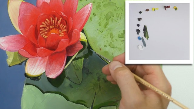 How To Paint A Lily Flower Michael James Smith Official Art School how-to-paint-a-lily-flower-michael-james-smith-official-art-school