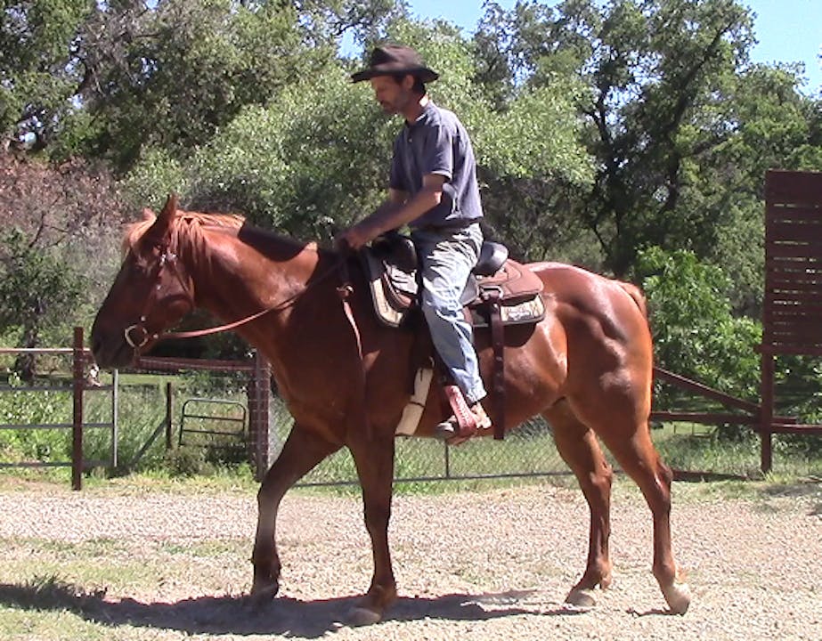 Introducing Your Legs To The Unbroke Horse (Saddle Exercise)* - The ...