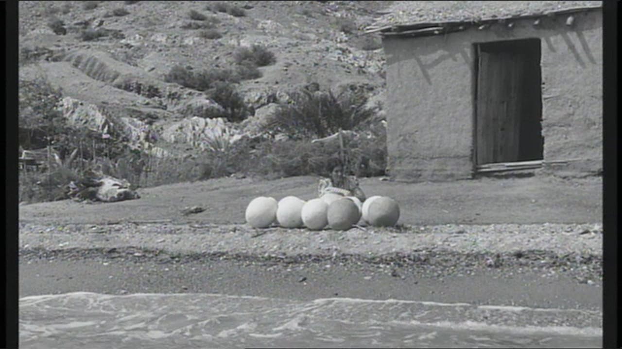 Araya trailer - Milestone Films: For individual, home use only.