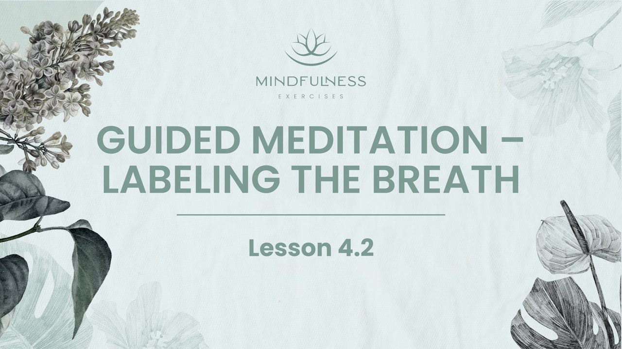 4.2 - Labeling the Breath - Mindfulness Masterclasses