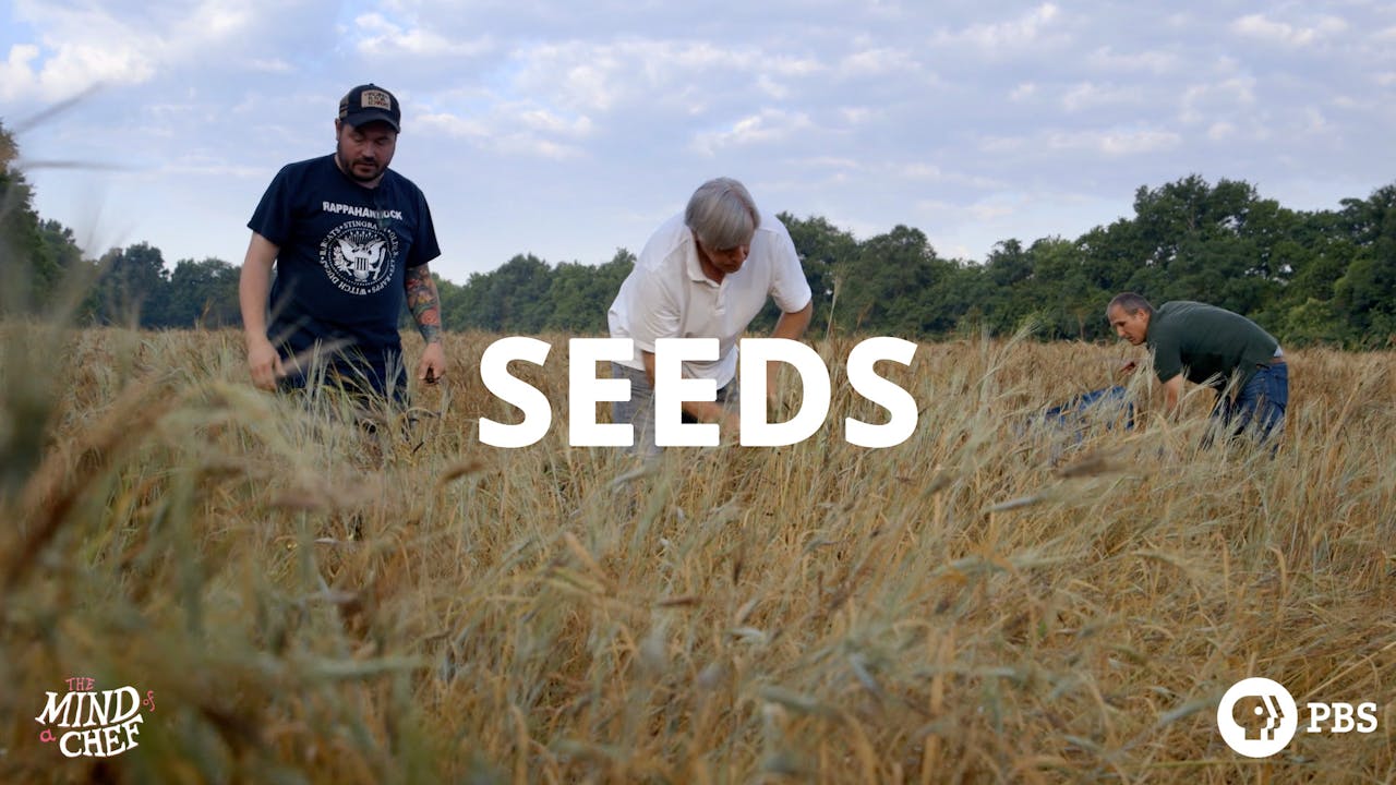 Season 2, Episode 2: Seeds - Sean Brock - Mind Of A Chef