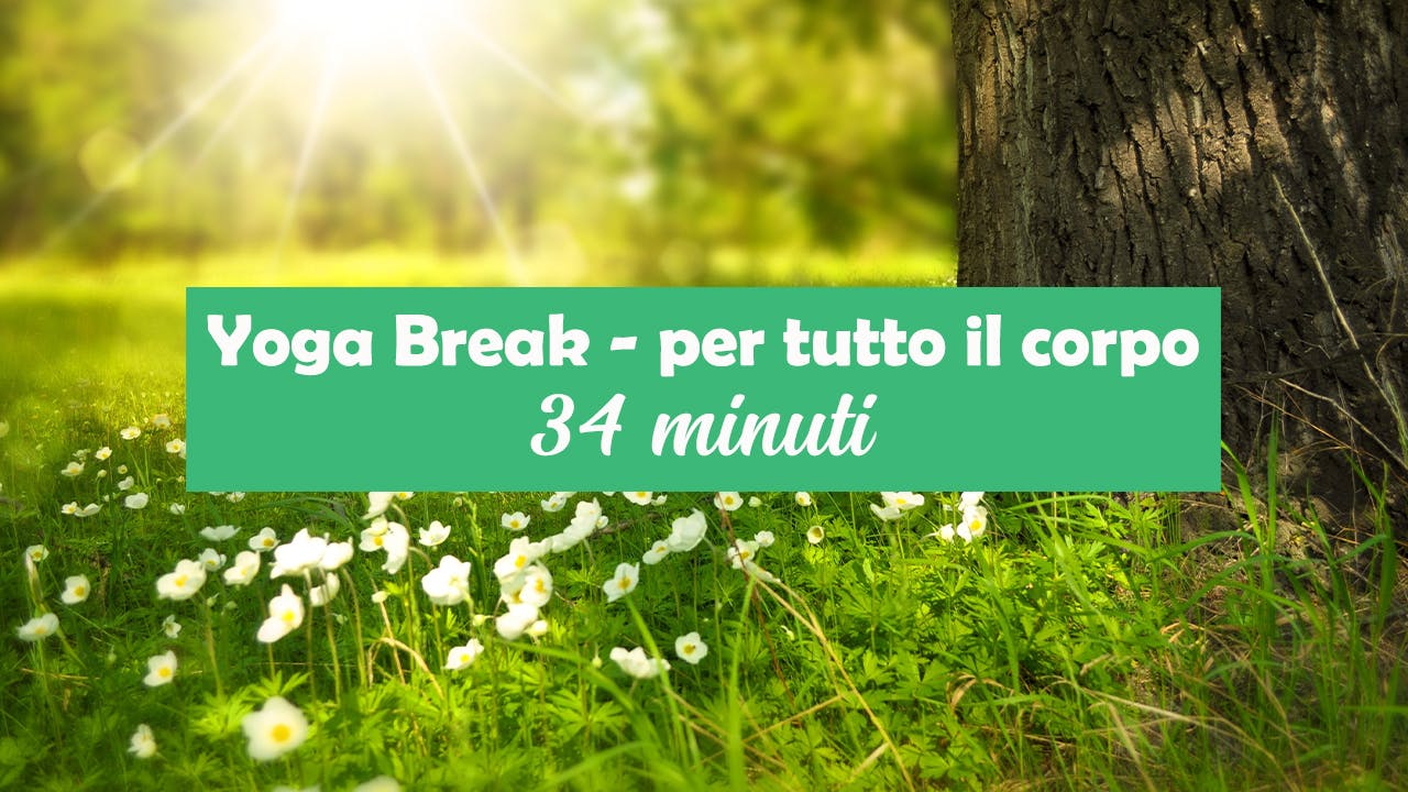 Yoga Break - full body flow - Miyoga Room