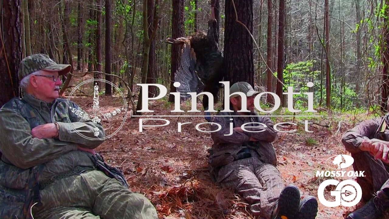 Calling The Flock •Early Season Turkey Hunting • Pinhoti Project Day 11 ...