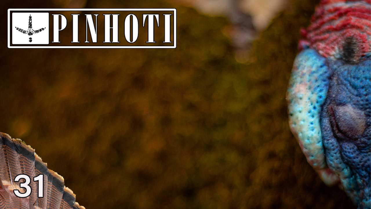 Pinhoti 2021 Ep 31 • Pinhoti Project - Season 4 - Mossy Oak GO