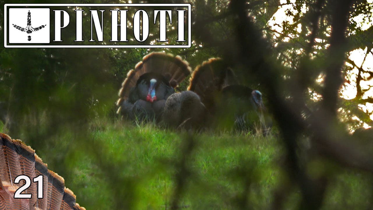 Pinhoti 2021 Ep 21 • Pinhoti Project - Season 4 - Mossy Oak GO