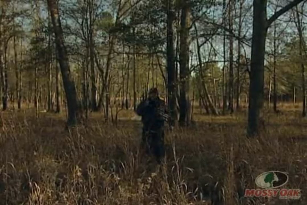 Bama Bows - Mossy Oak GO