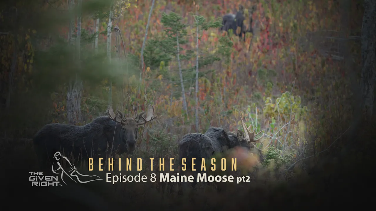 Maine Moose pt 2 • Behind the Season - Mossy Oak GO