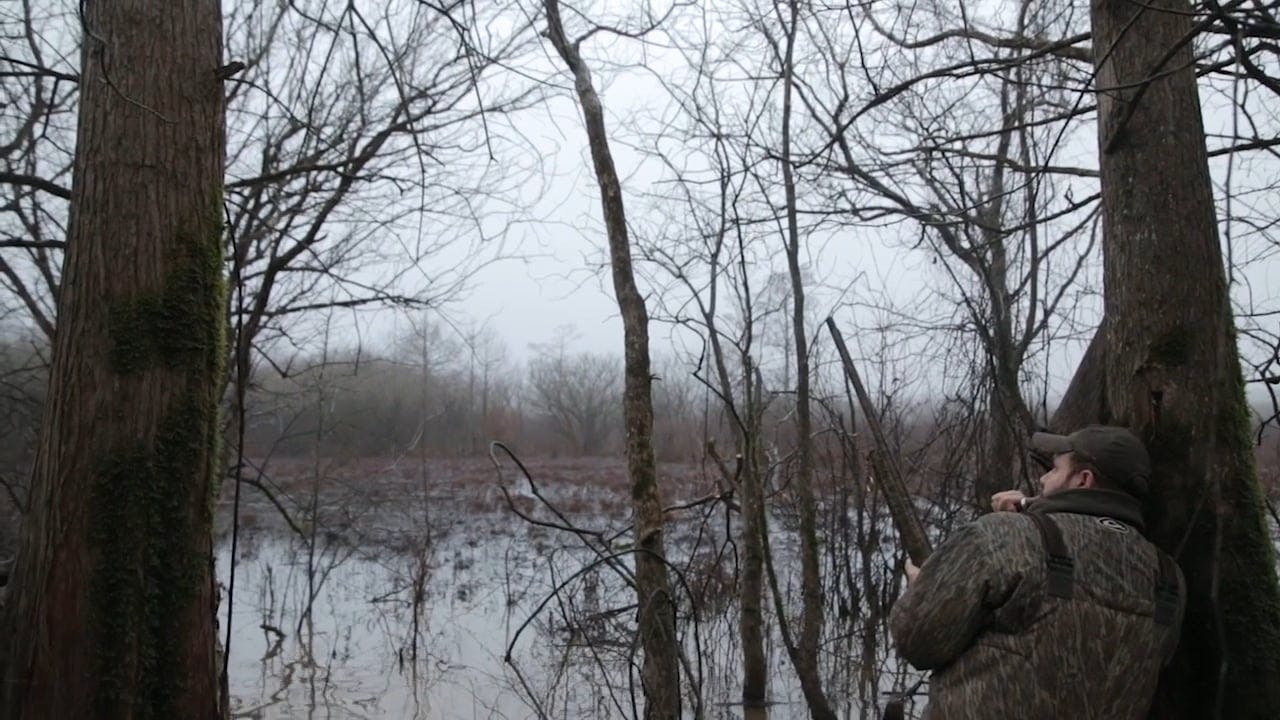 Green Timber Delta Blues • DU TV - Mossy Oak GO