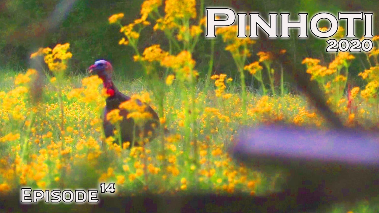 Pinhoti 2020 Ep 14 • Pinhoti Project - Season 3 - Mossy Oak GO