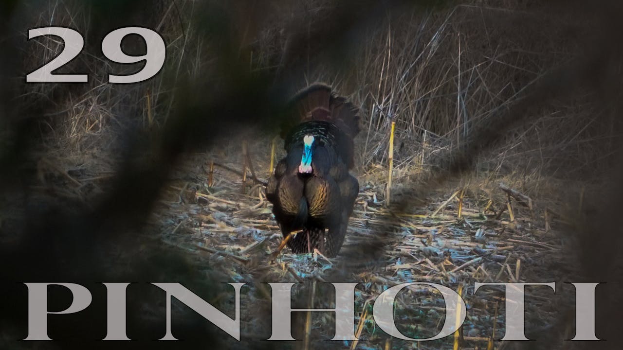 Pinhoti 2022 Ep 29 • Pinhoti Project - Season 5 - Mossy Oak GO