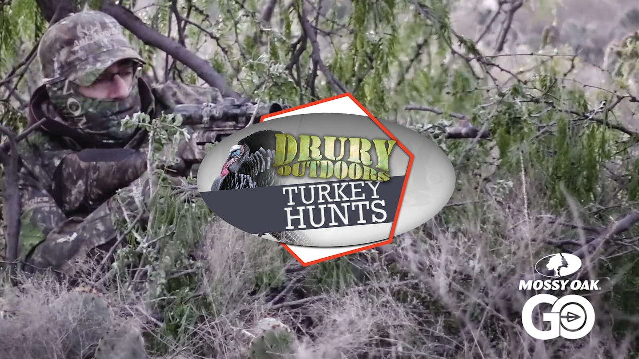 Texas Turkey Suffers Some Serious Winchester Brain Damage • DOD TV ...