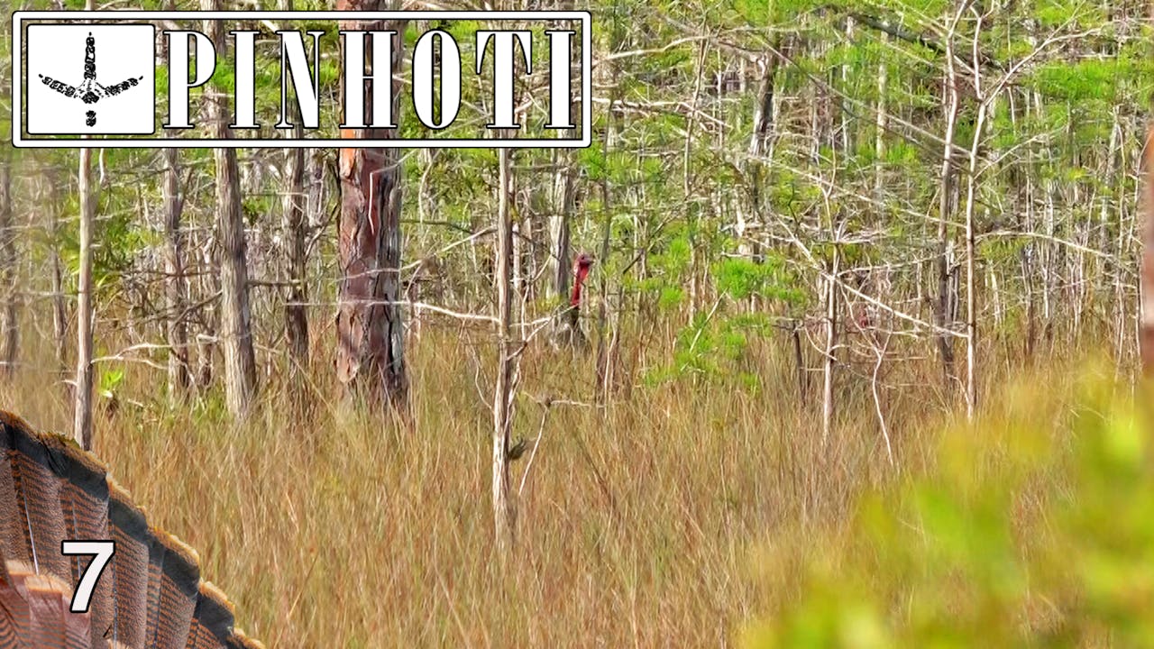 Pinhoti 2021 Ep 7 • Pinhoti Project - Season 4 - Mossy Oak GO