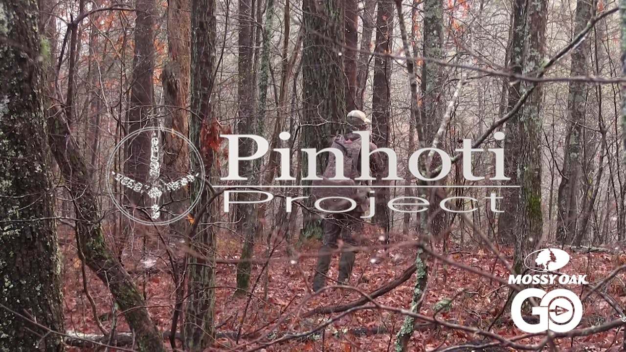 Hardwoods Heartbreak • Alabama Turkey Hunting • Pinhoti Project Day 15. ...
