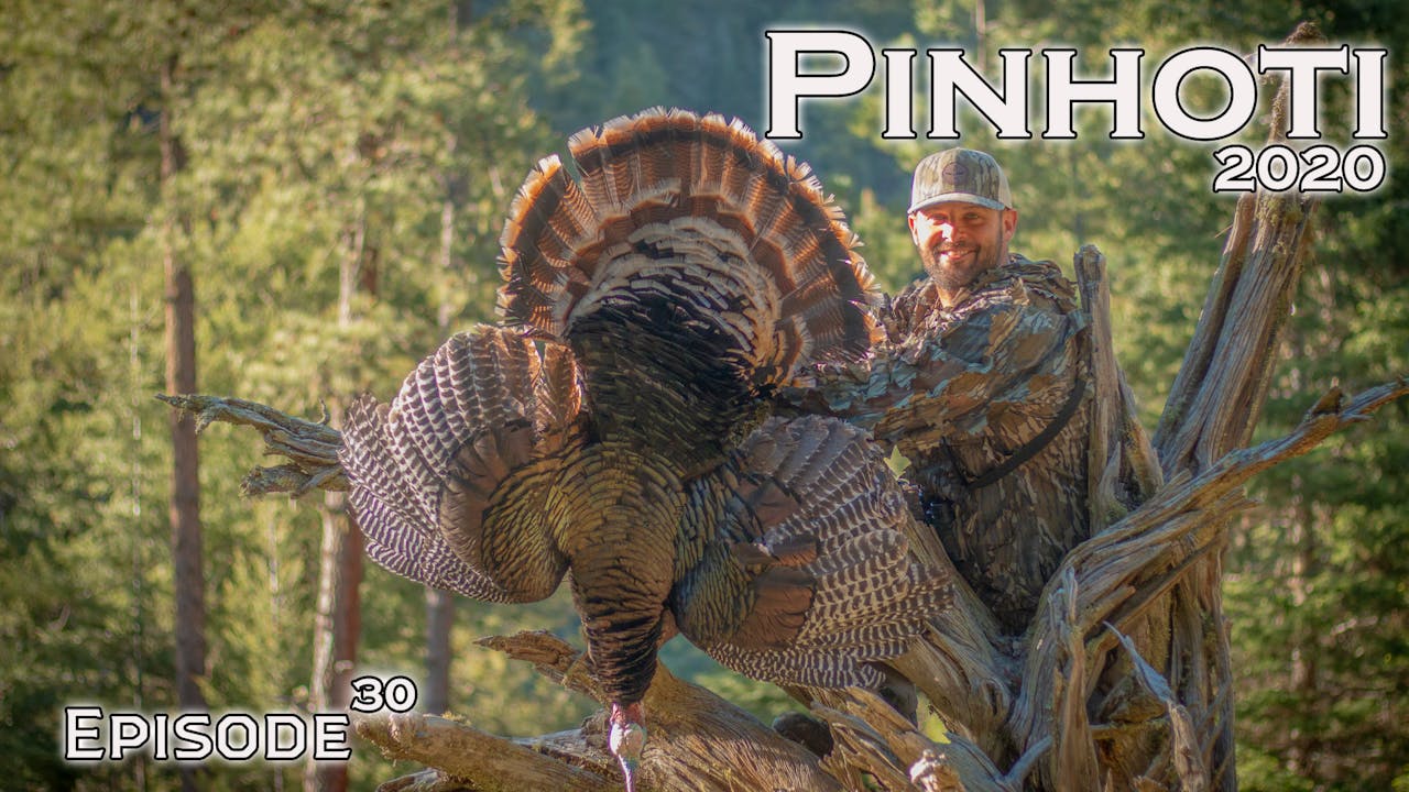 Pinhoti 2020 Ep 30 • Pinhoti Project - Season 3 - Mossy Oak GO