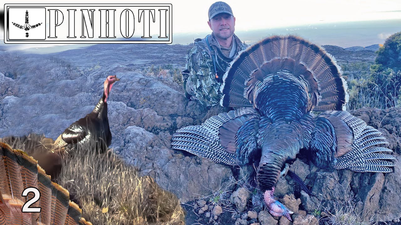 Pinhoti 2021 Ep 2 • Pinhoti Project - Season 4 - Mossy Oak GO