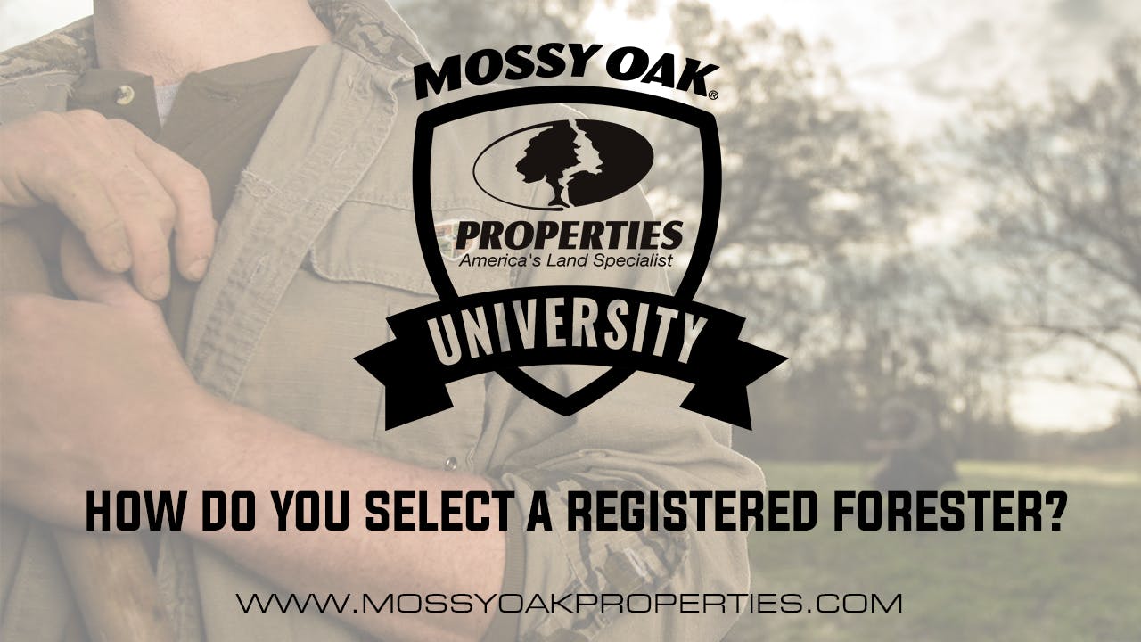 How Do You Select A Registered Forester? - All Videos - Mossy Oak GO