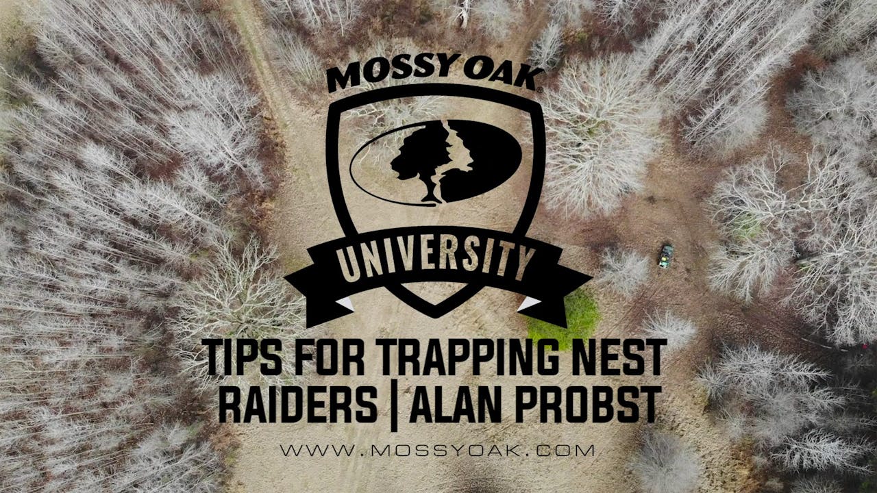 Tips for Trapping Nest Raiders with Alan Probst - Mossy Oak GO