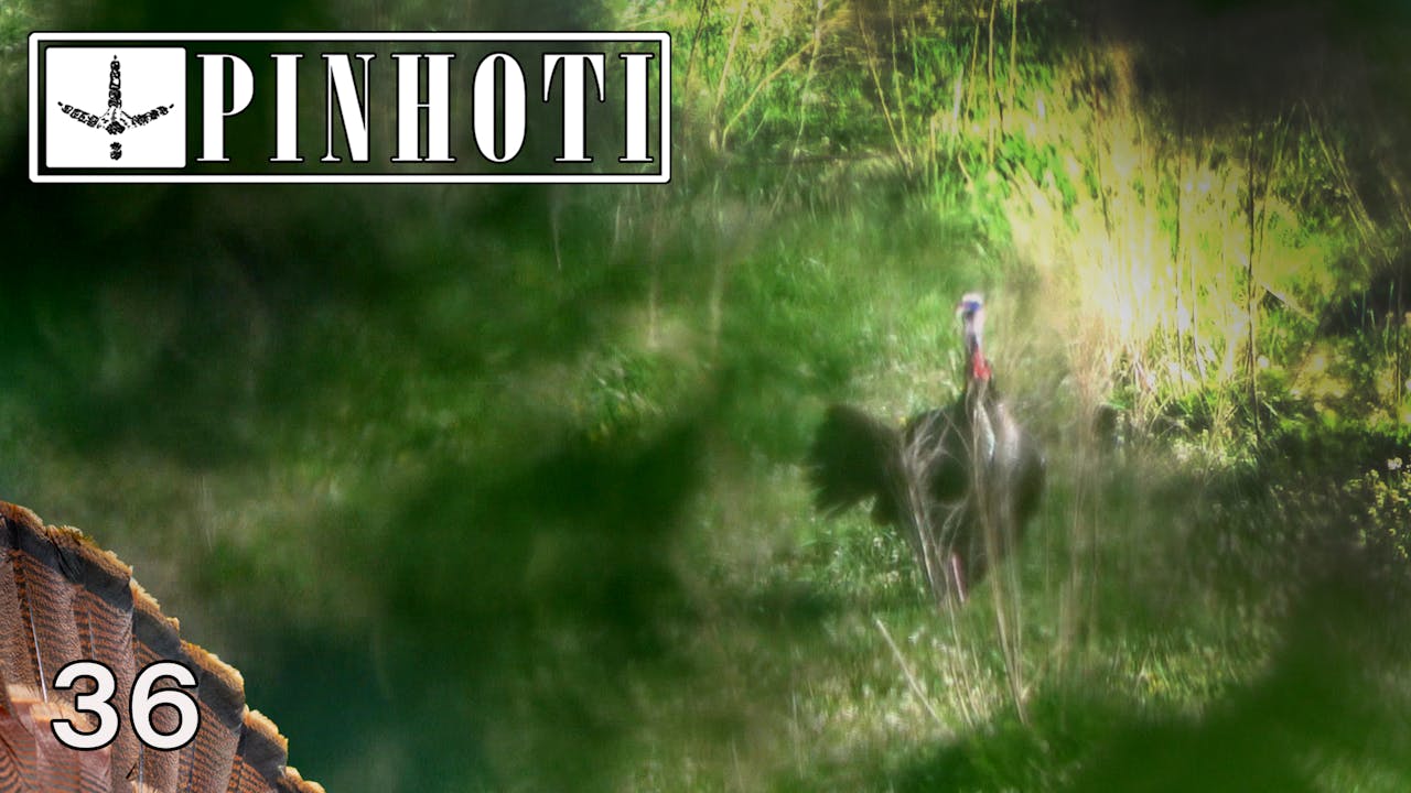Pinhoti 2021 Ep 36 • Pinhoti Project - Season 4 - Mossy Oak GO
